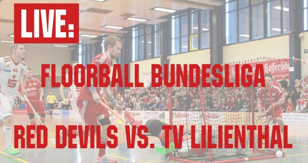 Red Devils Wernigerode