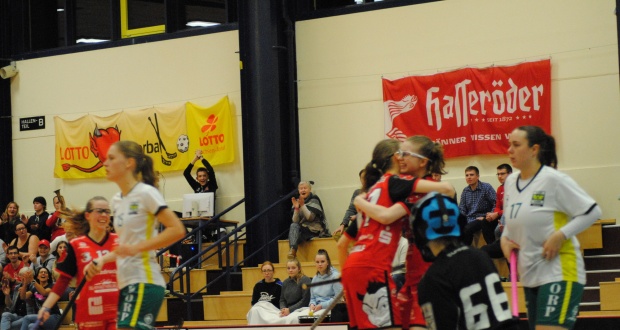 Red Devils Wernigerode